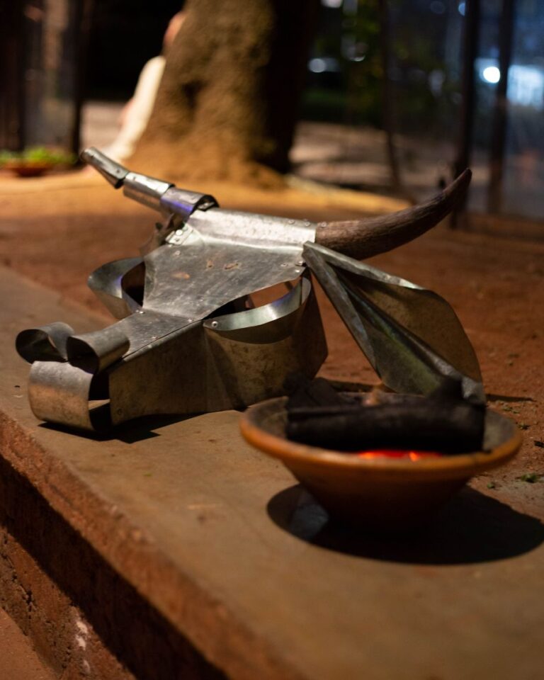 Zé Celso é ovacionado em seus 86 anos com sessão especial de O Bailado ...